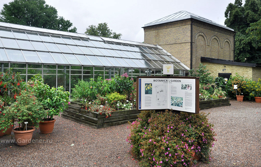 Ботанічний сад університету міста Лунд (Lund University Botanical Garden)